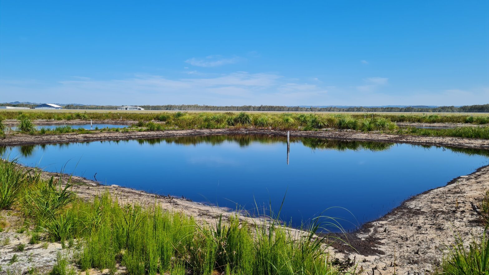 Archives: Projects - Future Plus Environmental