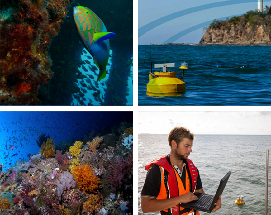 Water quality and benthic monitoring to support harbour dredging ...